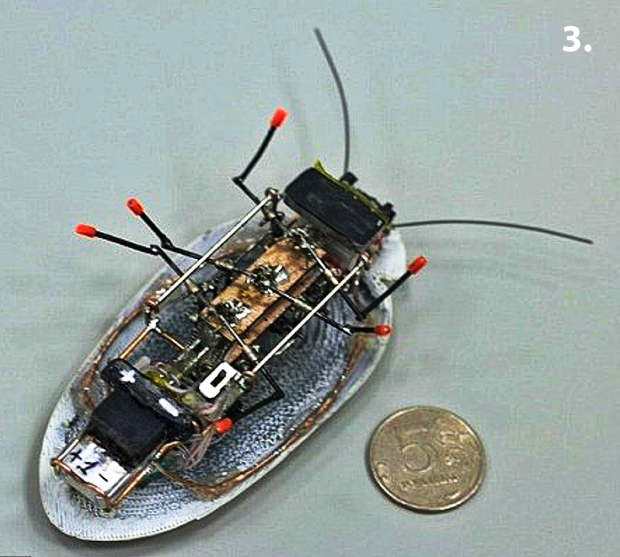 Cyborg Cockroaches, Robot Crop Pollinators and Laser-Firing Bugbots | The National Robotics ...